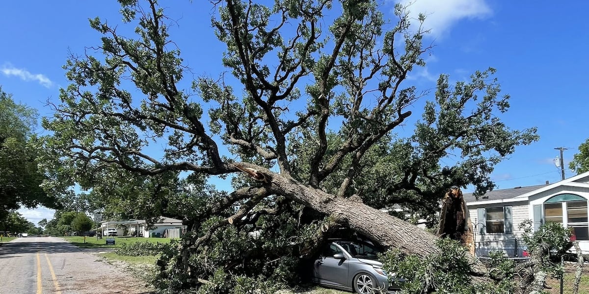 Severe storms leave damage across Texoma Severe storms leave damage across Texoma